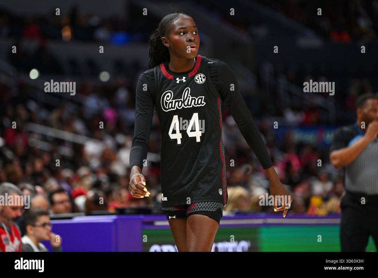 LOS ANGELES, CA - NOVEMBER 15: South Carolina Gamecocks guard Agot ...
