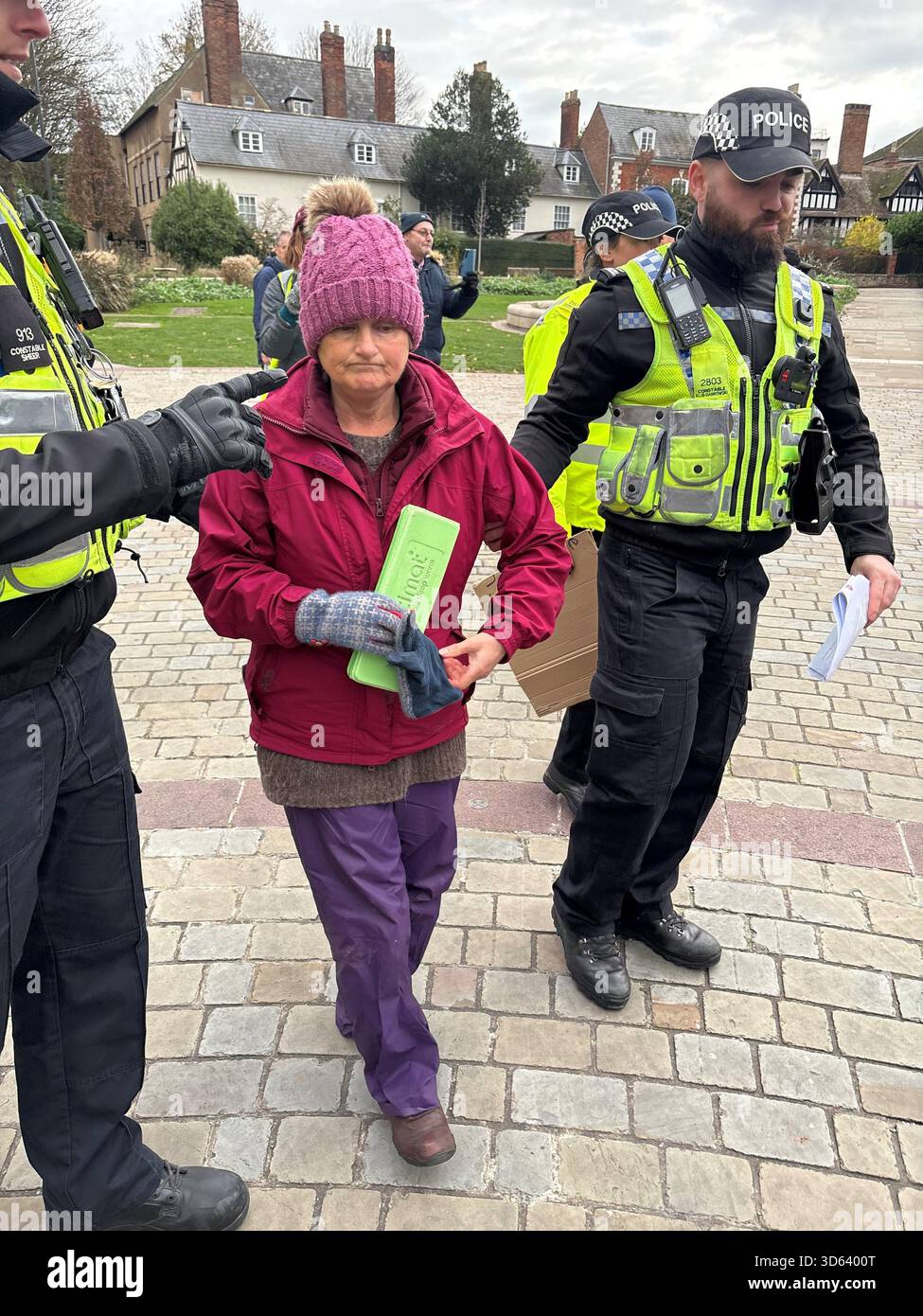 Police remove a protester after protesters gathered in support of ...