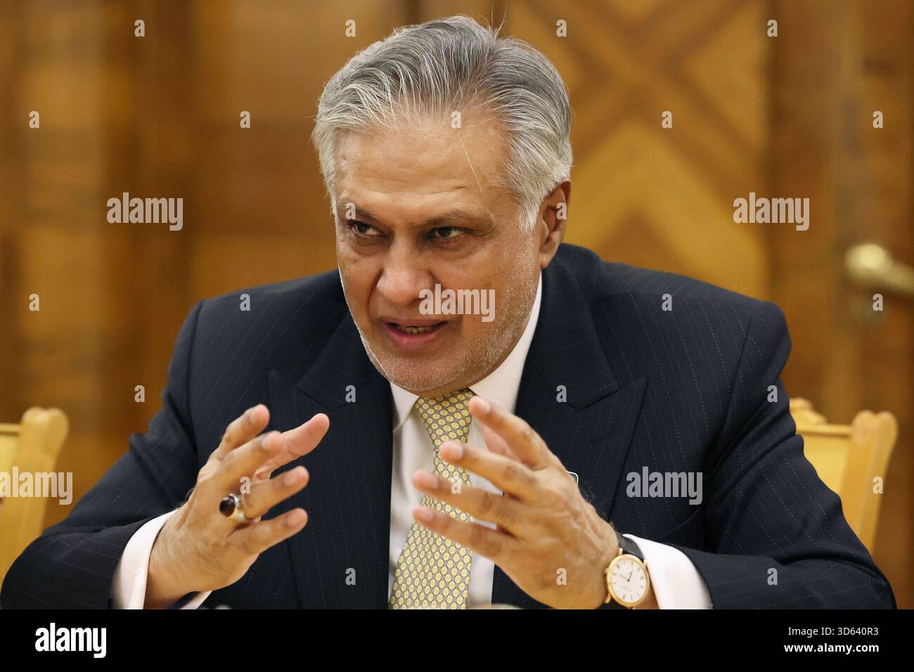 Pakistani Deputy Prime Minister and Foreign Minister Mohammad Ishaq Dar ...