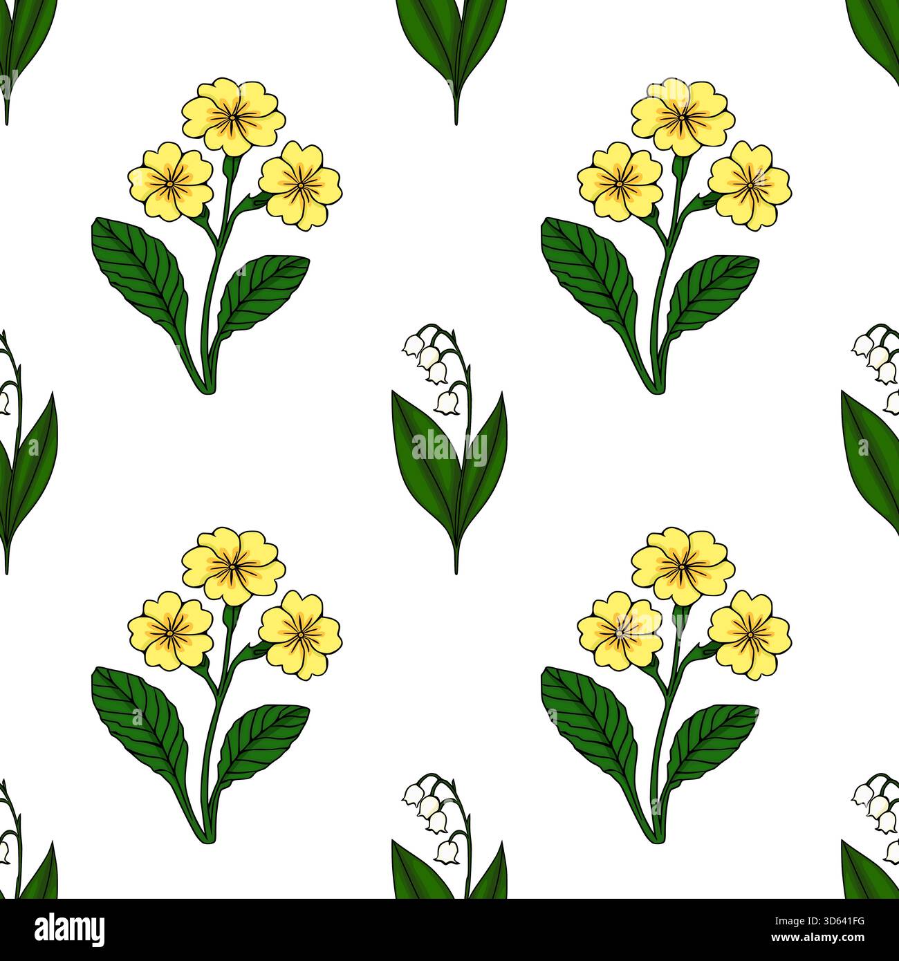 Primrose on a green background Stock Vector Images - Alamy