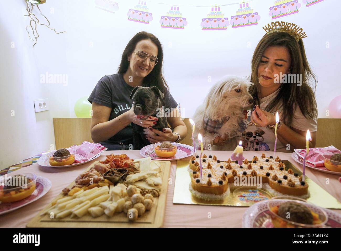 07 November 2025, Lebanon, Beirut: Yolla Ismail feeds her dog Vanilla a ...