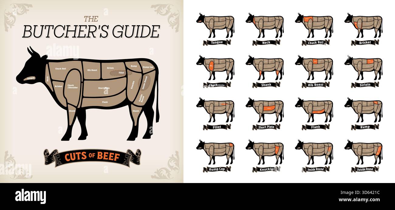 Names of beef cuts list in English. It is vector data that is easy to ...