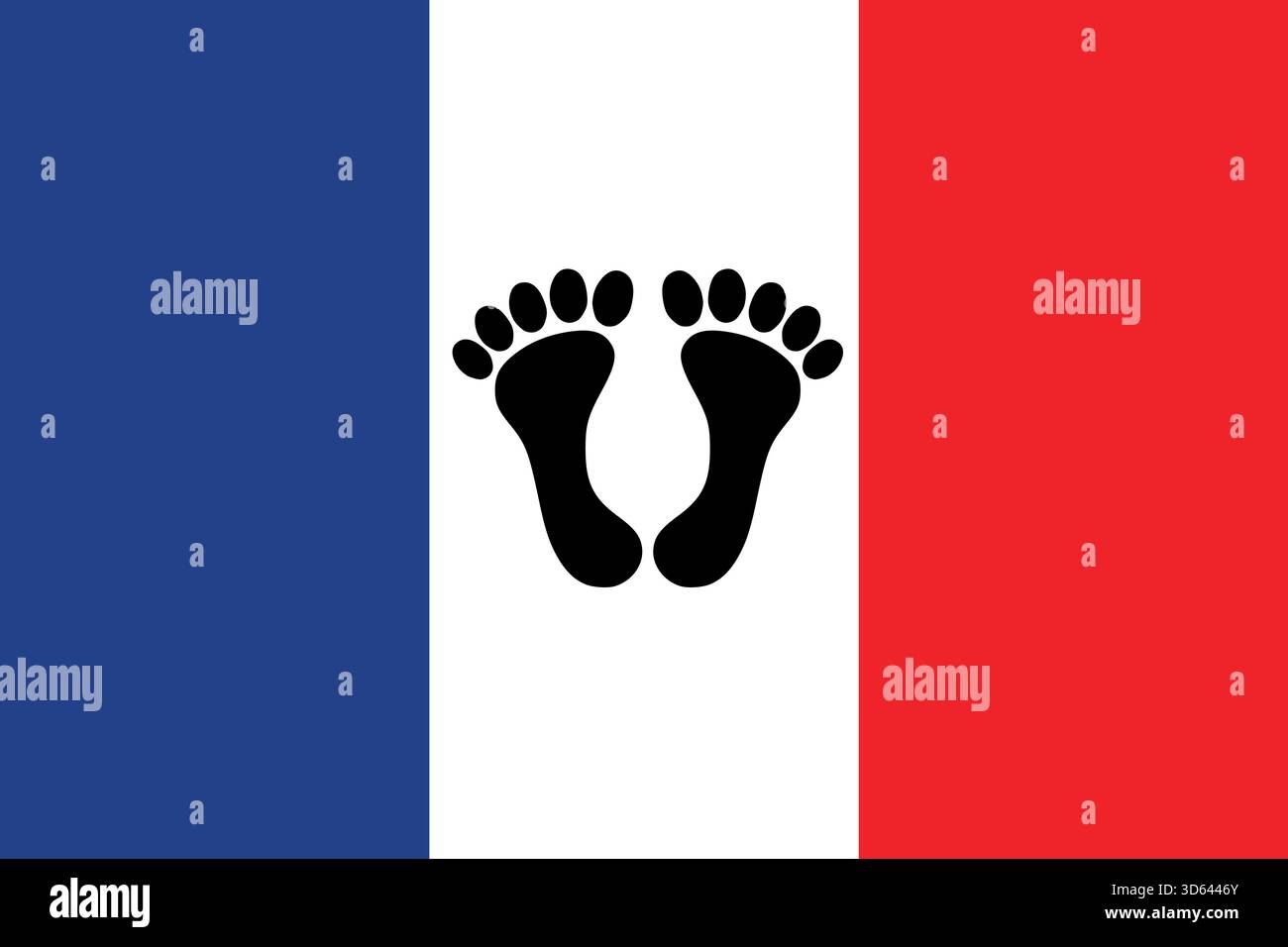 Flag of the Pieds-Noirs of French Algeria – Tricolor with Golden Map of ...