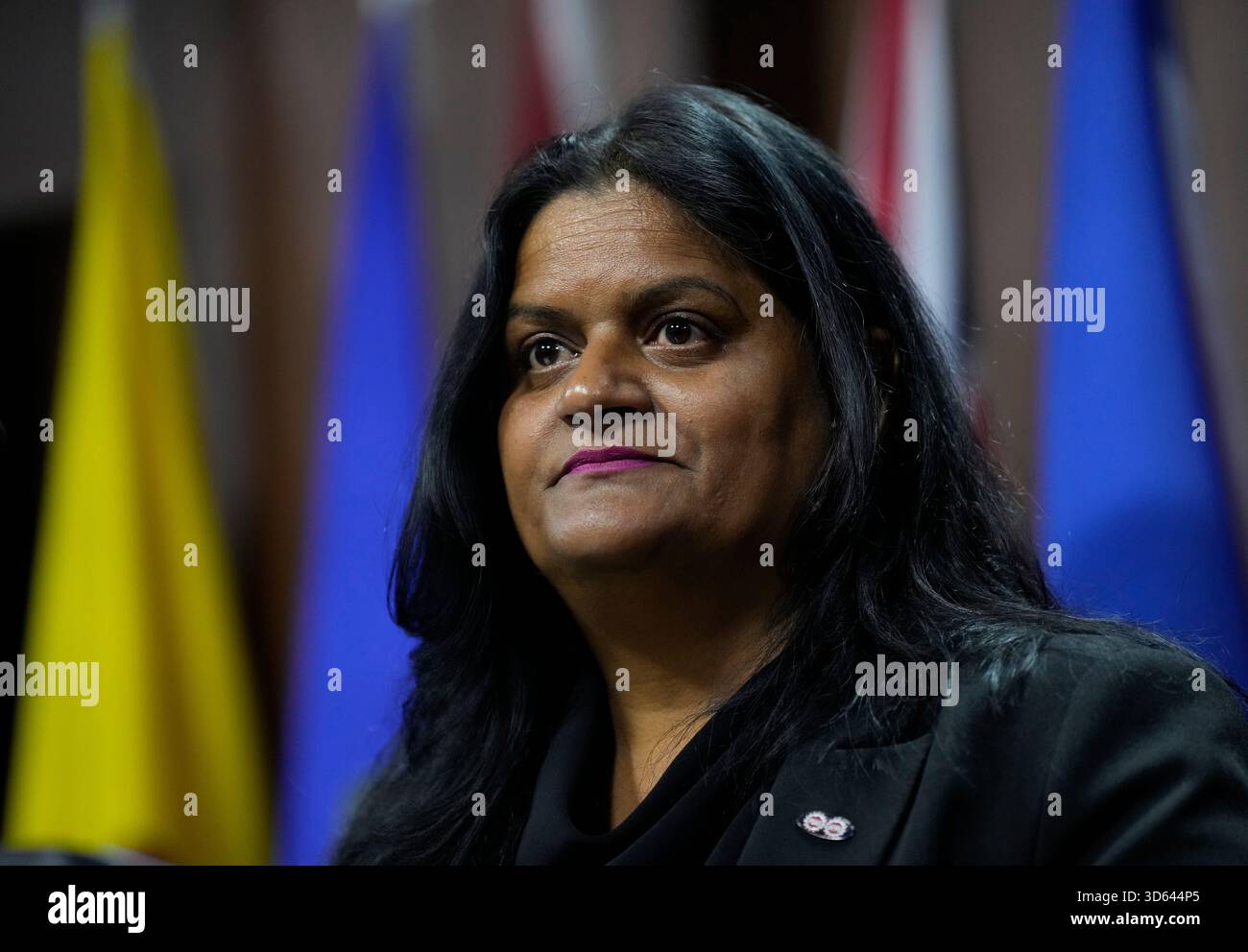 Public Service Alliance of Canada National President Sharon DeSousa ...