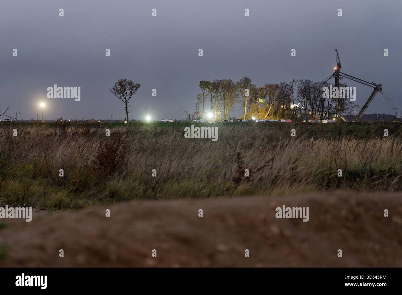 18 November 2025, North Rhine-Westphalia, Kerpen: Only a few trees of ...