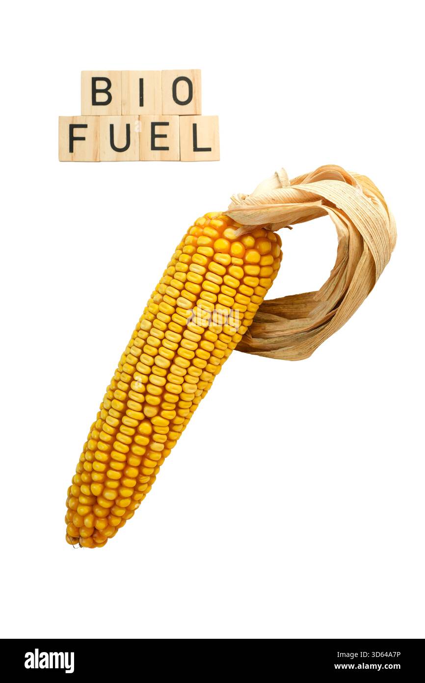 Ethanol renewable fuel sustainable Cut Out Stock Images & Pictures - Alamy