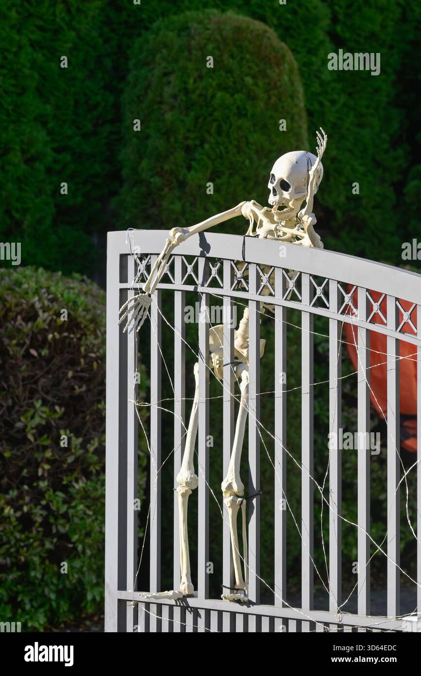 Halloween Skeleton greets you at the gate Stock Photo - Alamy