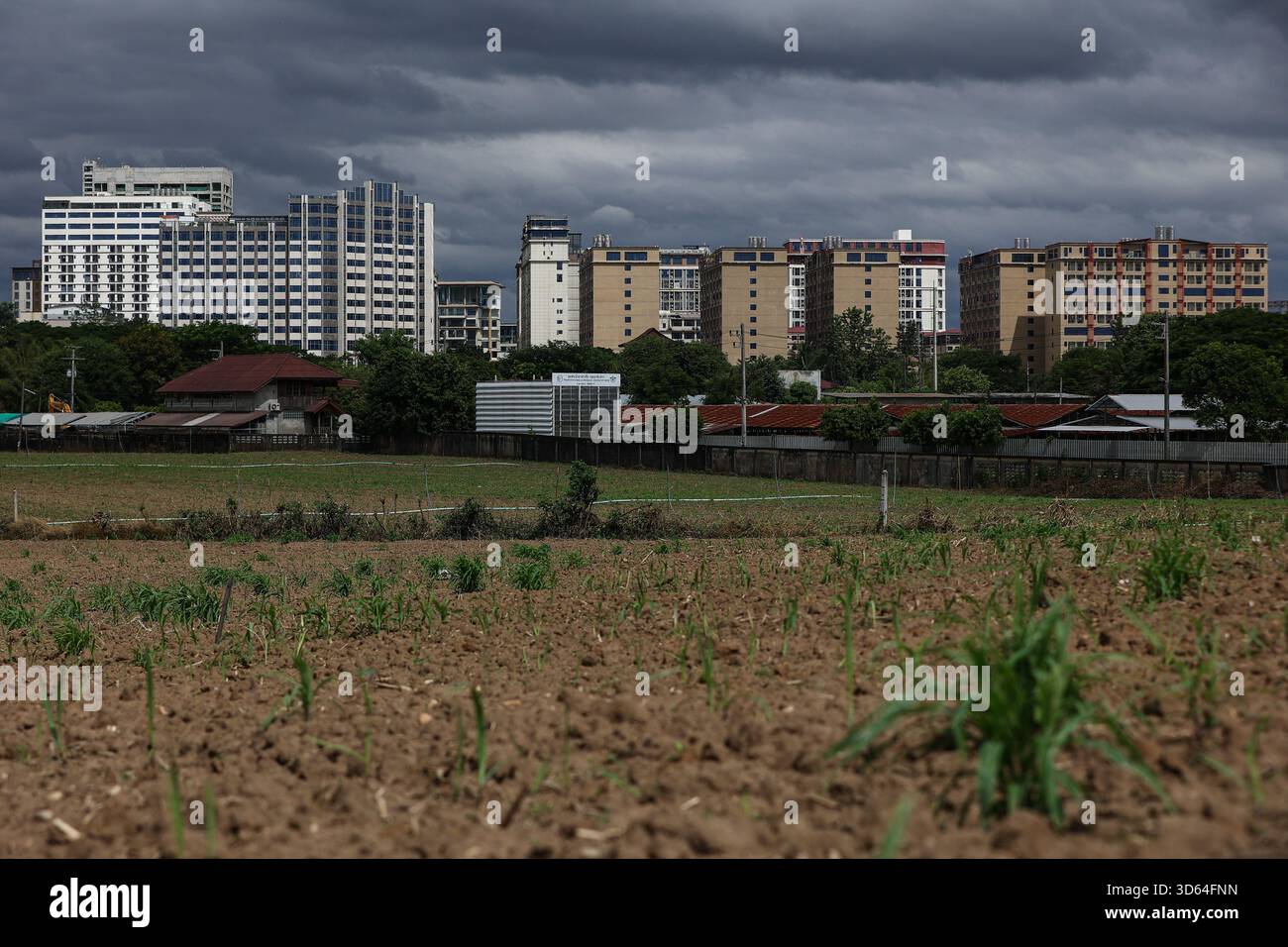 November 18, 2025, Mae Sot, Tak, Thailand: Shwe Kokko in Myawaddy ...