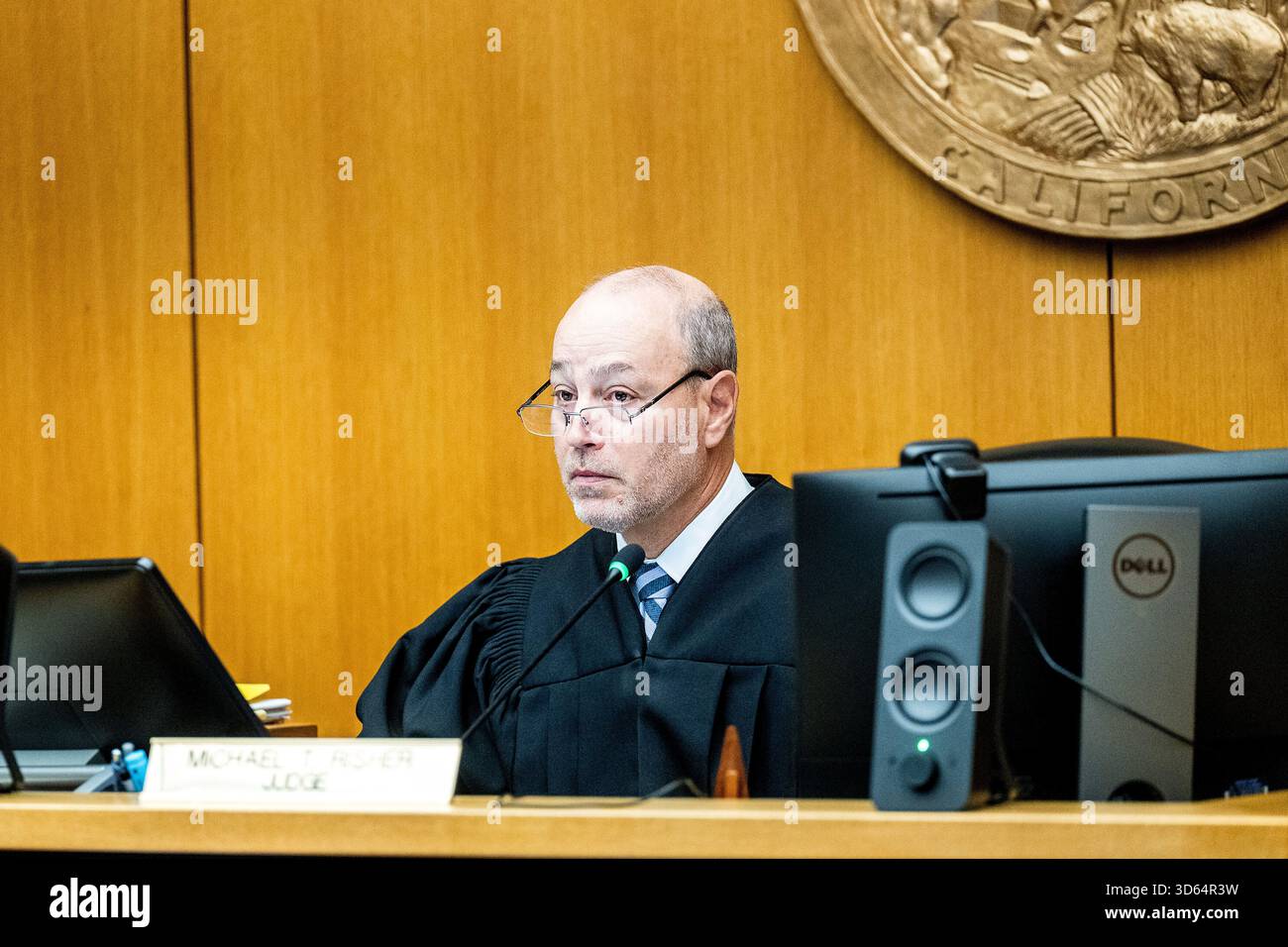 Judge Michael Risher presides over the arraignment of Cedric Irving Jr ...