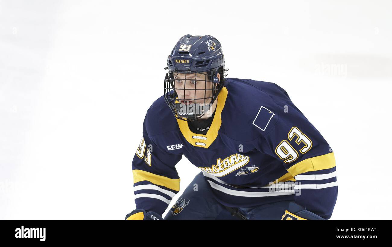 Augustana's Cole Burtch plays during an NCAA hockey game on Friday, Nov ...