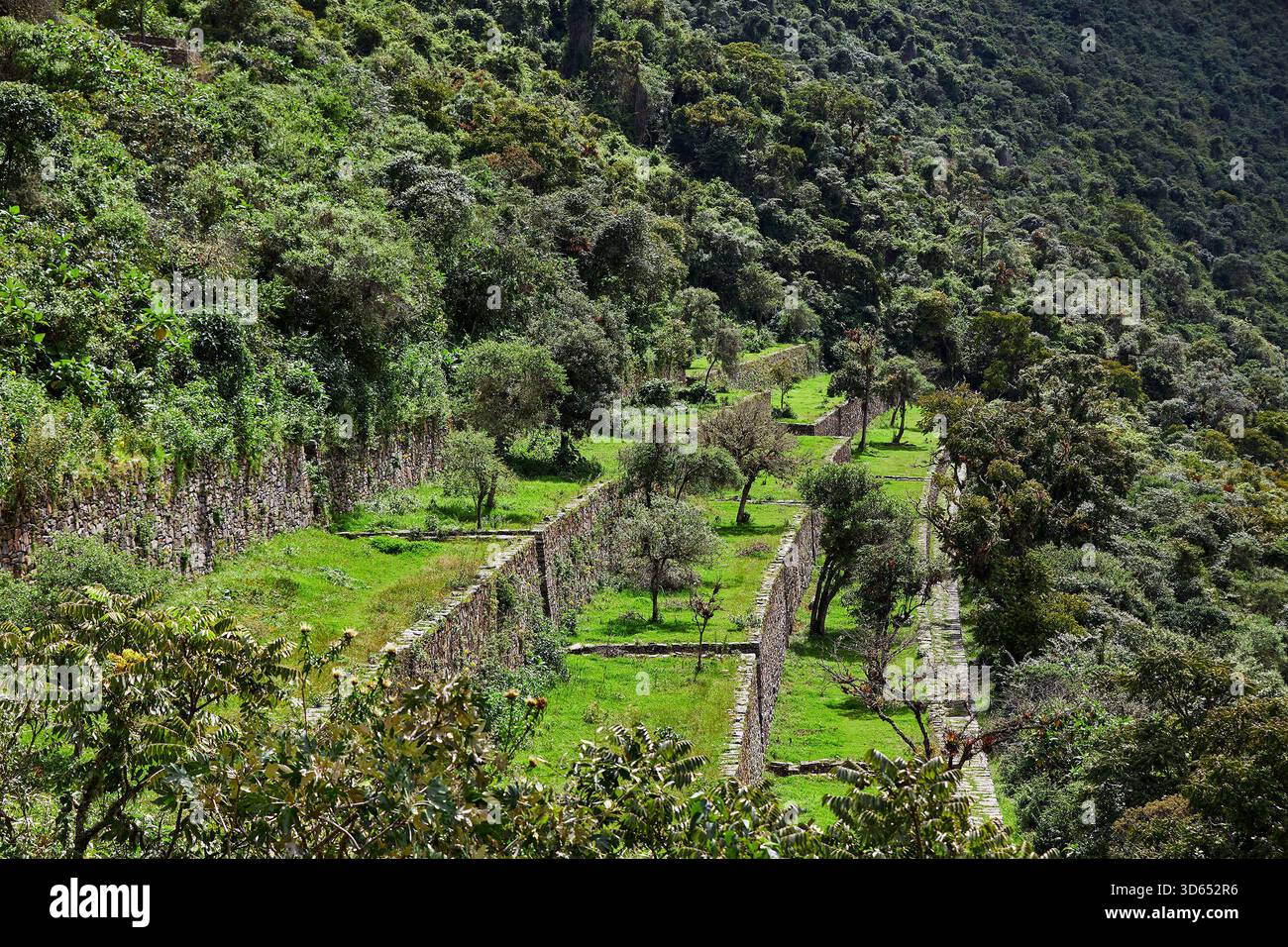 Choquequirao is an archaeological site located in the Andes Mountains ...