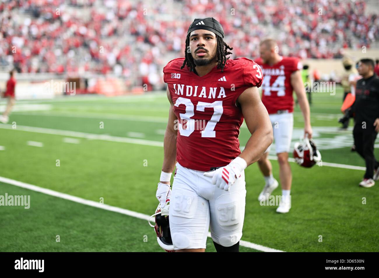 BLOOMINGTON, IN - NOVEMBER 15: Indiana Hoosiers TE Riley Nowakowski (37 ...