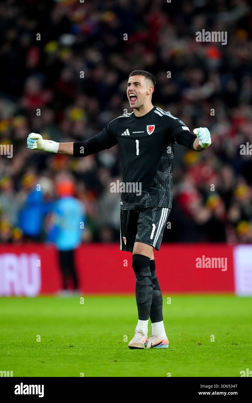 Wales goalkeeper Karl Darlow celebrates teammate Harry Wilson's (not ...