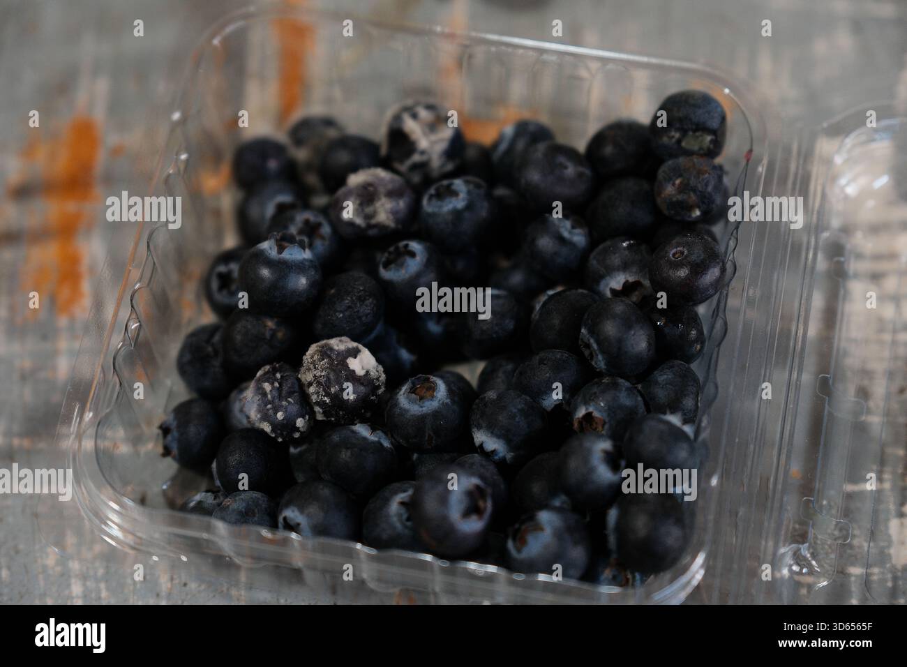 Moldy Blueberries in Plastic Container Stock Photo - Alamy