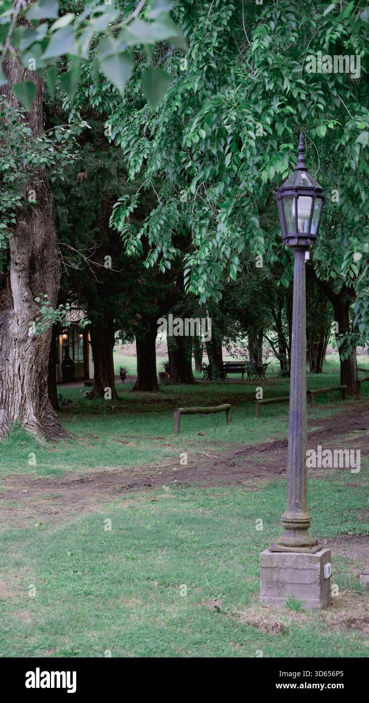 Vintage lamp post calm hi-res stock photography and images - Alamy