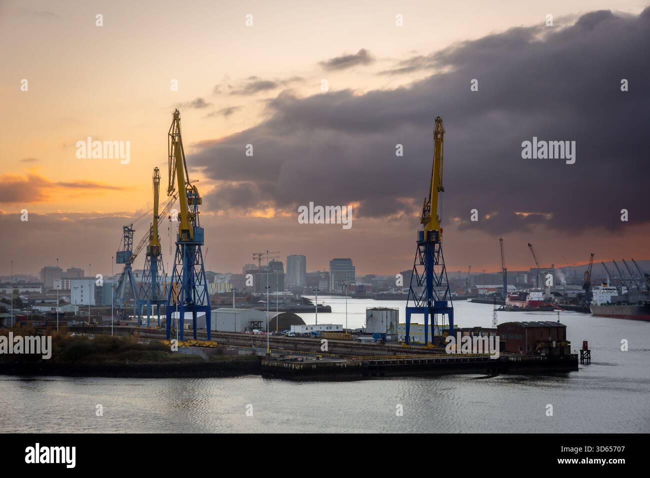 View of Belfast docks in late afternoon light, 2025 Stock Photo - Alamy