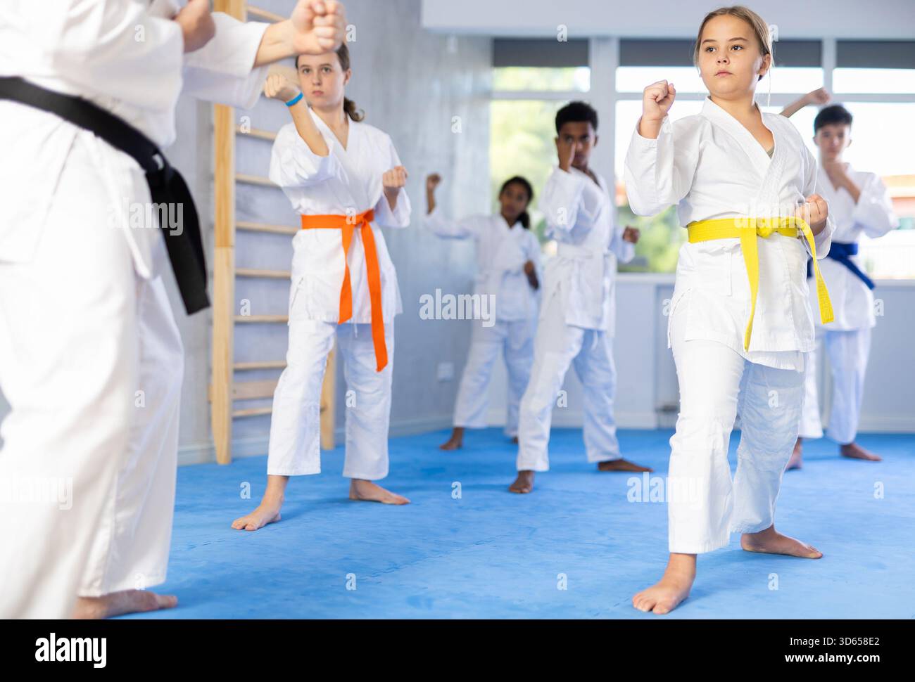 Group of children train karate techniques Stock Photo - Alamy