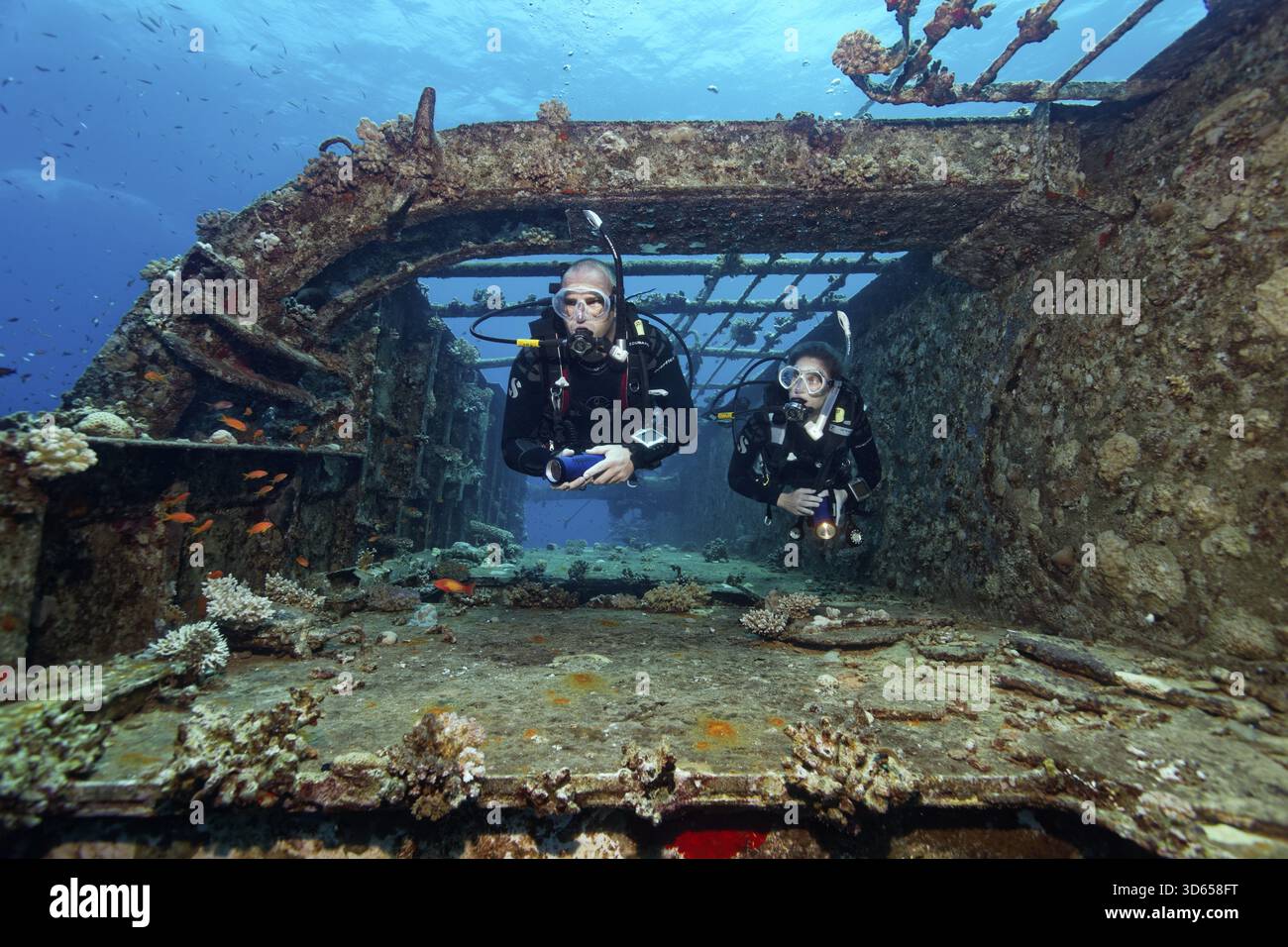 Diver and diver explore wreck, shipwreck, Salem Express, Port Safaga ...