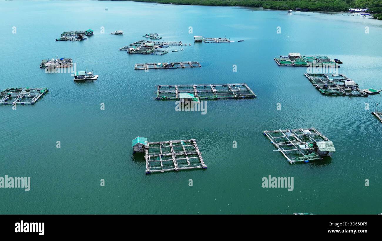 Fish farm with cages for fish and shrimp Stock Photo - Alamy