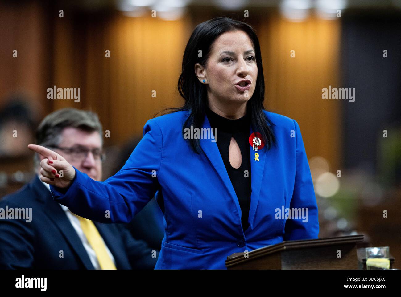 La députée conservatrice Shannon Stubbs se levant, le 8 novembre 2024 ...