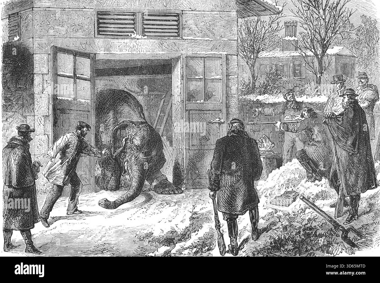 Prussian siege paris elephant hi-res stock photography and images - Alamy