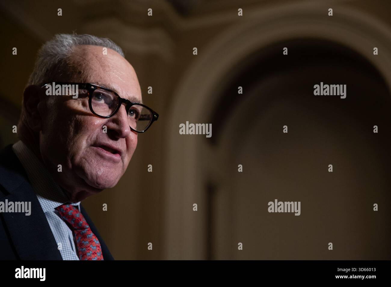Senate Minority Leader Chuck Schumer (D-N.Y.) speaks with reporters at ...