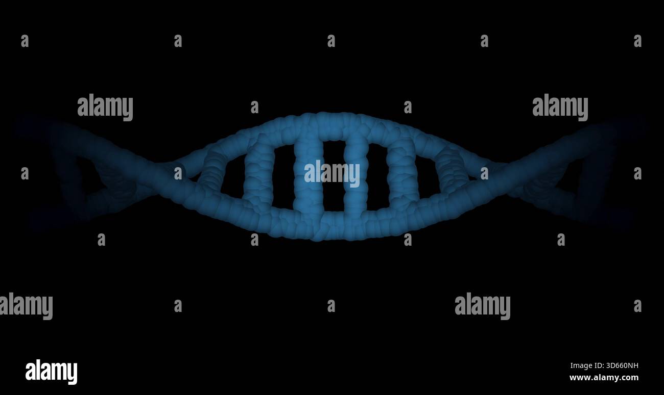 Segmented strands hi-res stock photography and images - Alamy