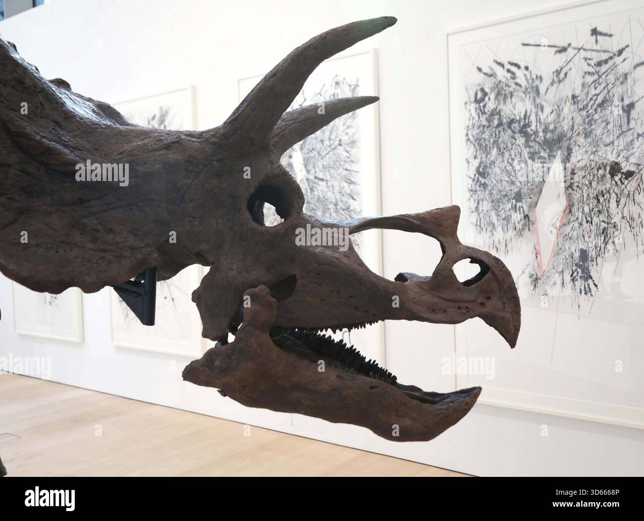 New York, New York, USA. 18th Nov, 2025. A detail view of Cera, the ...