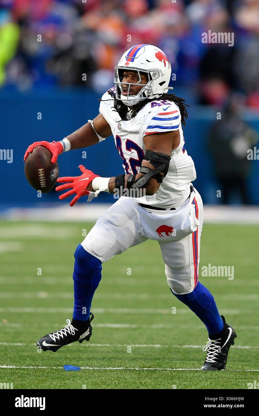 Buffalo Bills linebacker Dorian Williams (42) reacts after his fumble ...