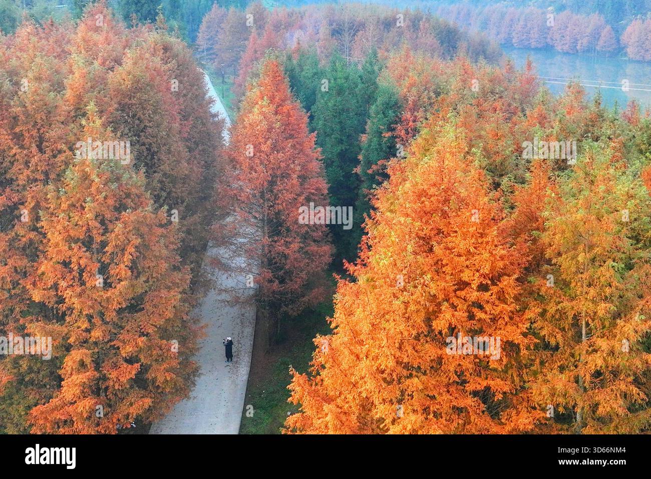 Aerial photo shows the early winter scenery in Youyang County ...