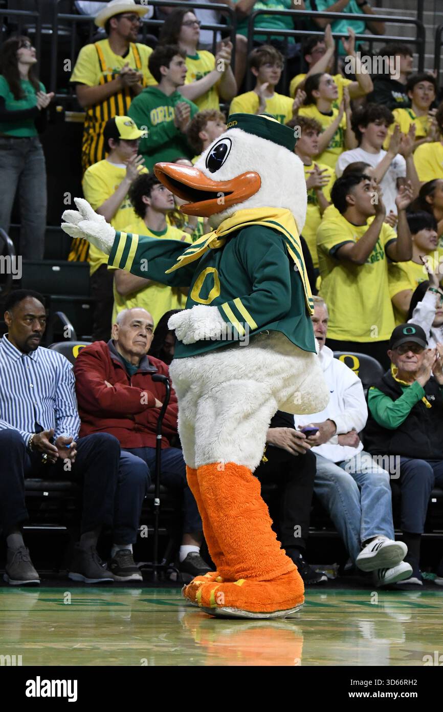 EUGENE, OR - NOVEMBER 17: The Oregon Ducks mascot, Puddles, performs ...