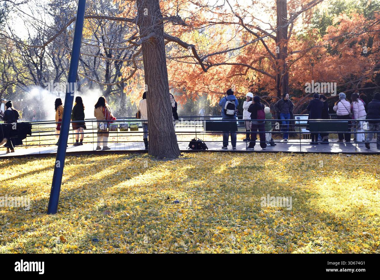 Early winter scenery at Purple Bamboo Park in Beijing, China, 16 ...