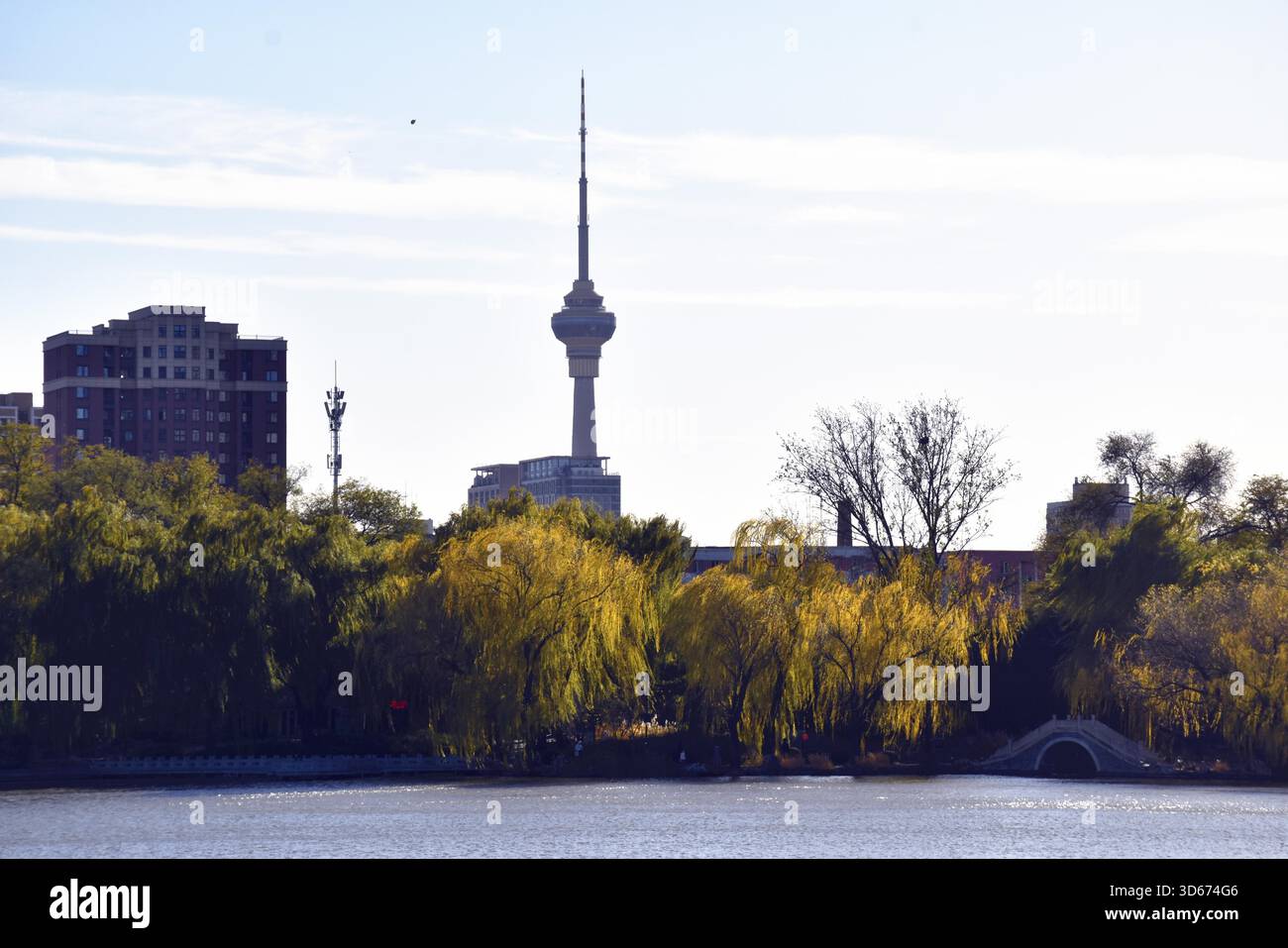 Early winter scenery at Purple Bamboo Park in Beijing, China, 16 ...