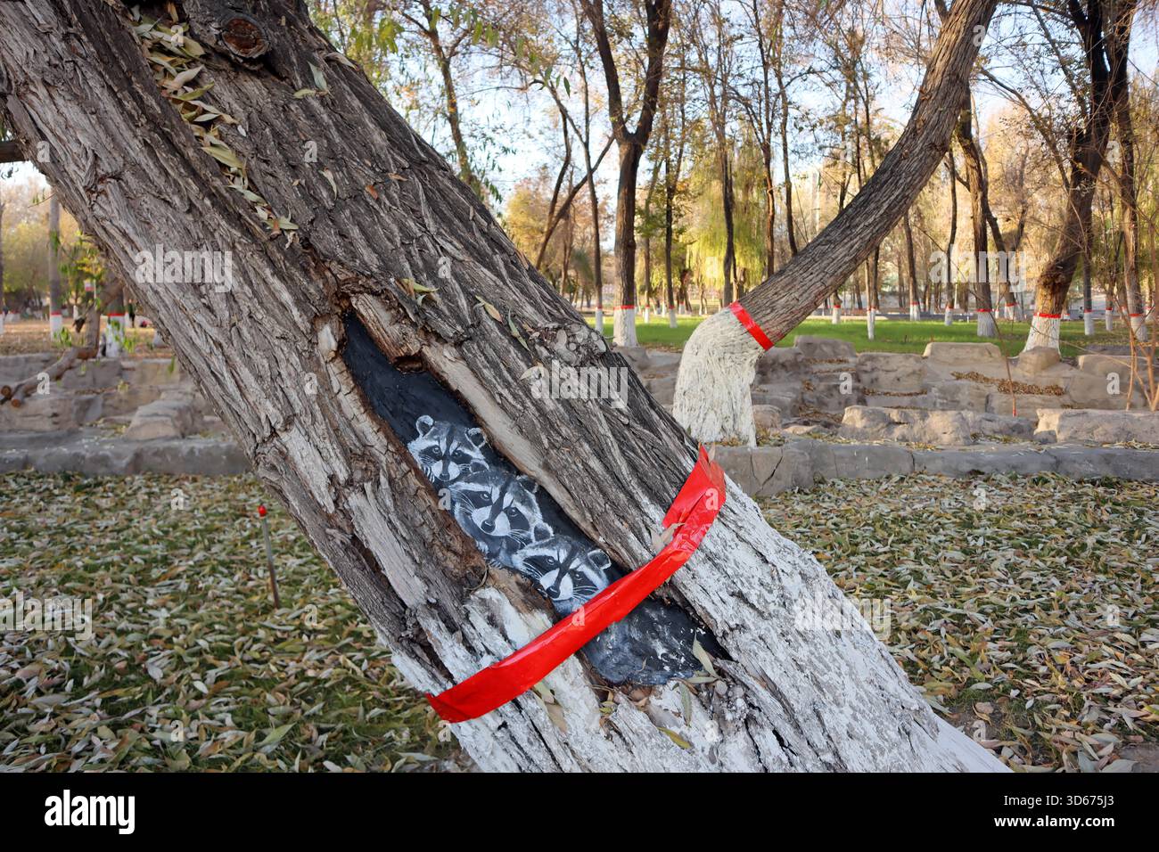 Tree paintings in Hami City, northwest China's Xinjiang Uygur ...
