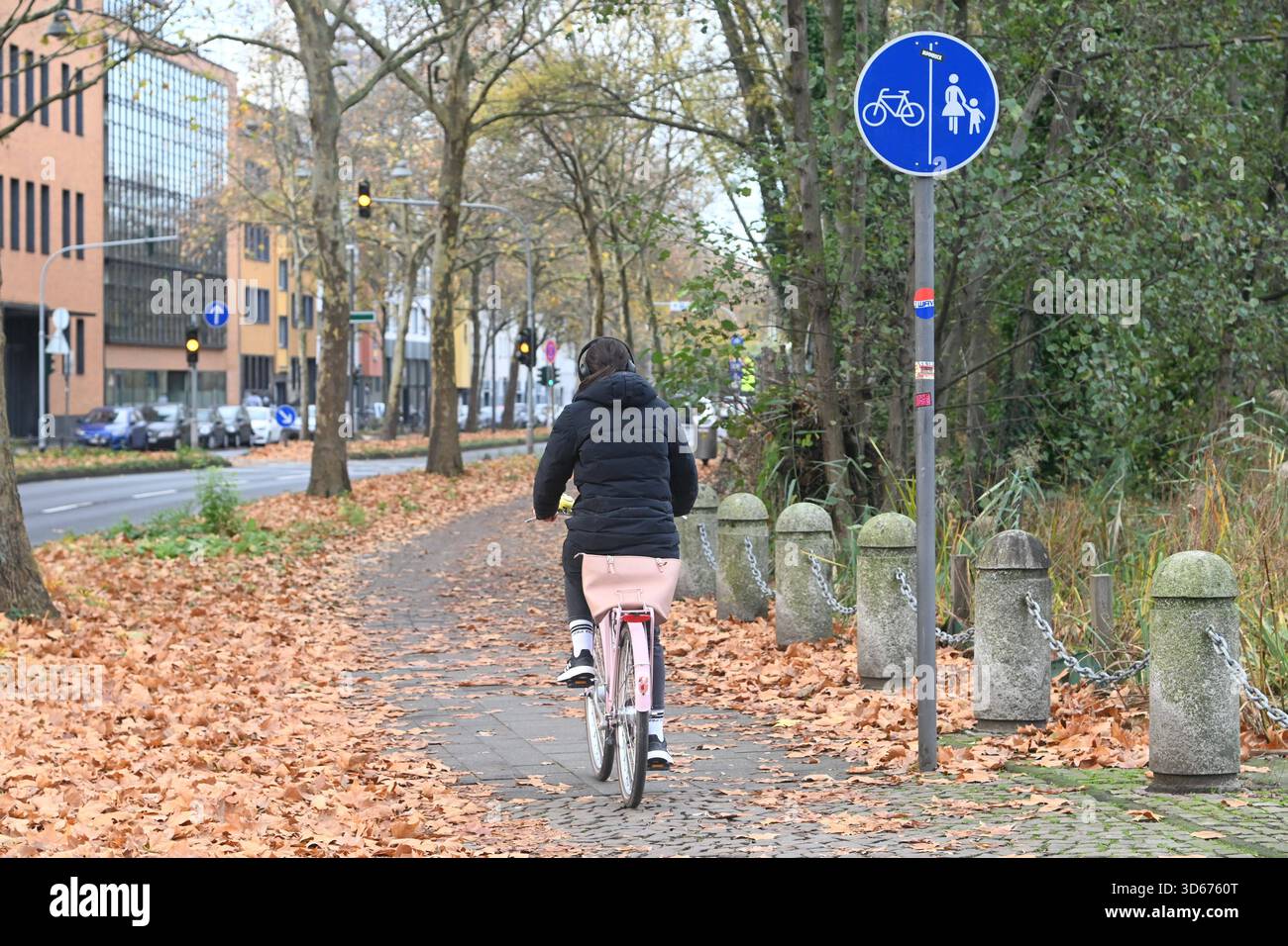 Ein kombinierter Fuss- und Radweg in Koeln, eine Fahrradfahrerin faehrt ...