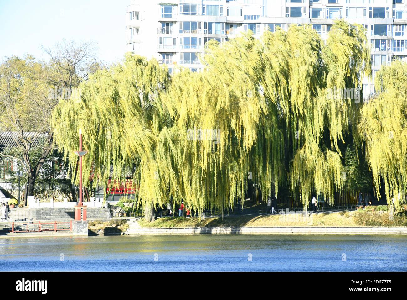 Early winter scenery at Purple Bamboo Park in Beijing, China, 16 ...