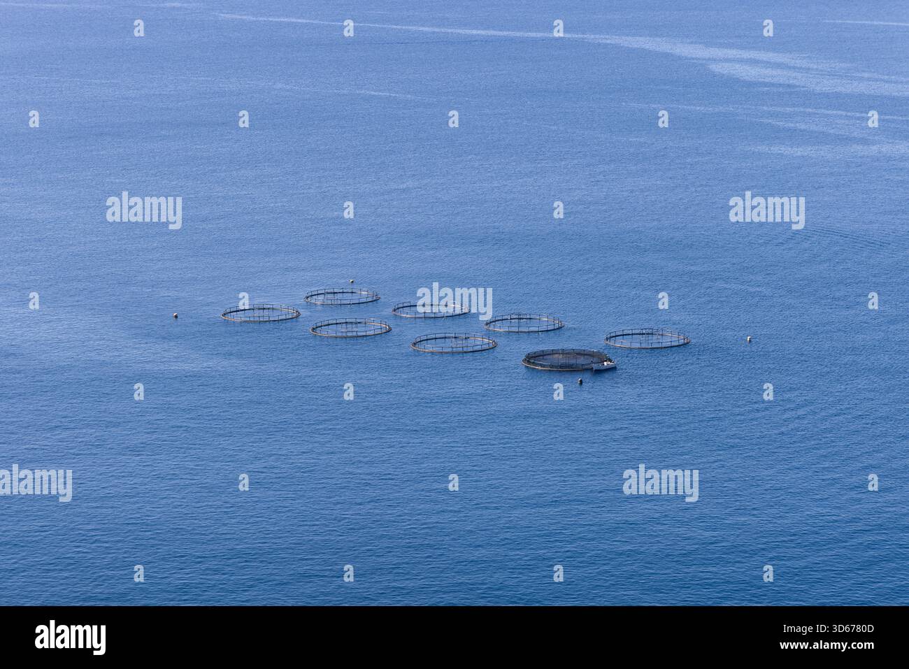 Offshore mussel farm with circular floating cages spread across calm ...