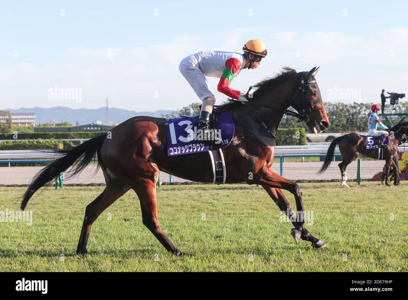 2025/11/16 KYOTO 11R THE QUEEN ELIZABETH 2 CUP 5 / 3 / Coconuts Brown ...