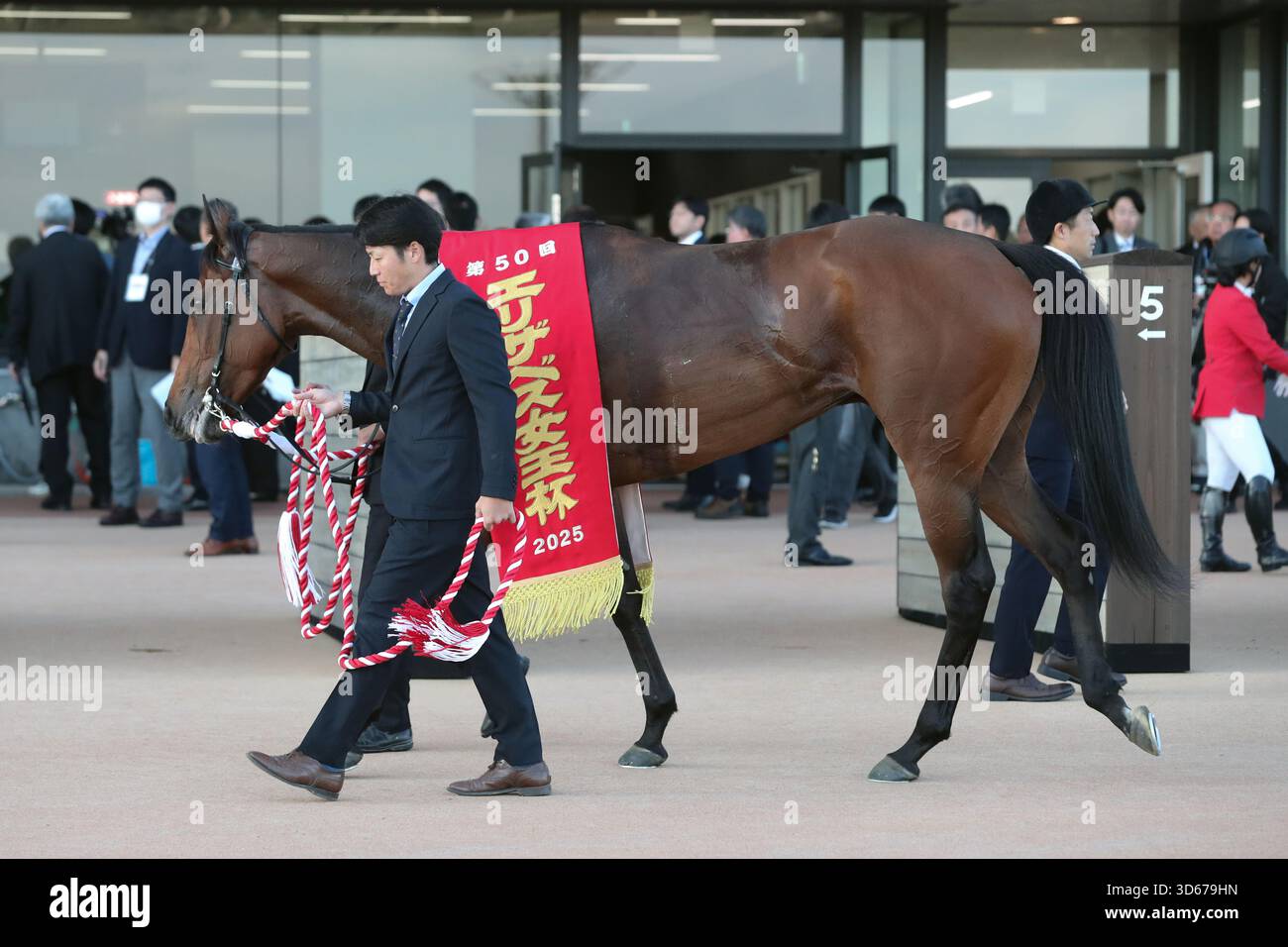 2025/11/16 KYOTO 11R THE QUEEN ELIZABETH 2 CUP / 1 / Regaleira Kyoto Racecourse in Kyoto, Japan ...