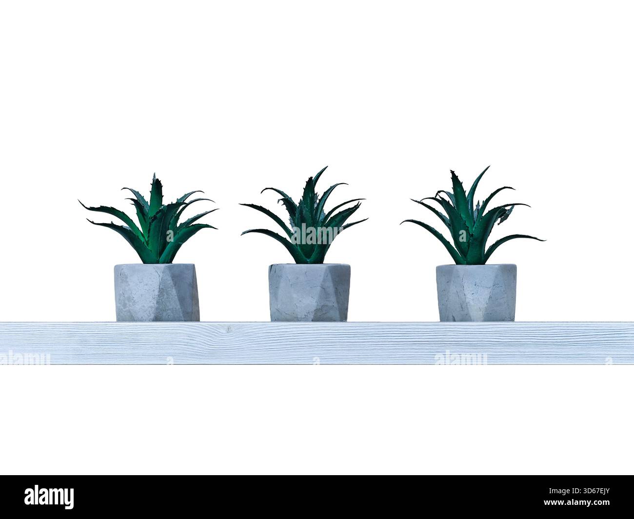 Calming greenery Cut Out Stock Images & Pictures - Alamy