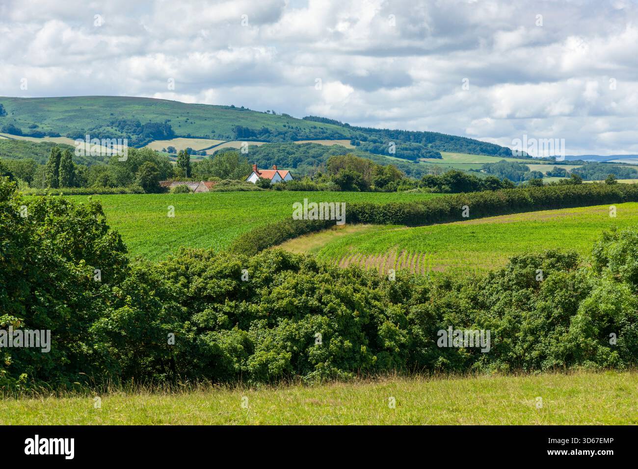 The Quantock Hills from the South West Coast Path and Castles and Coast ...