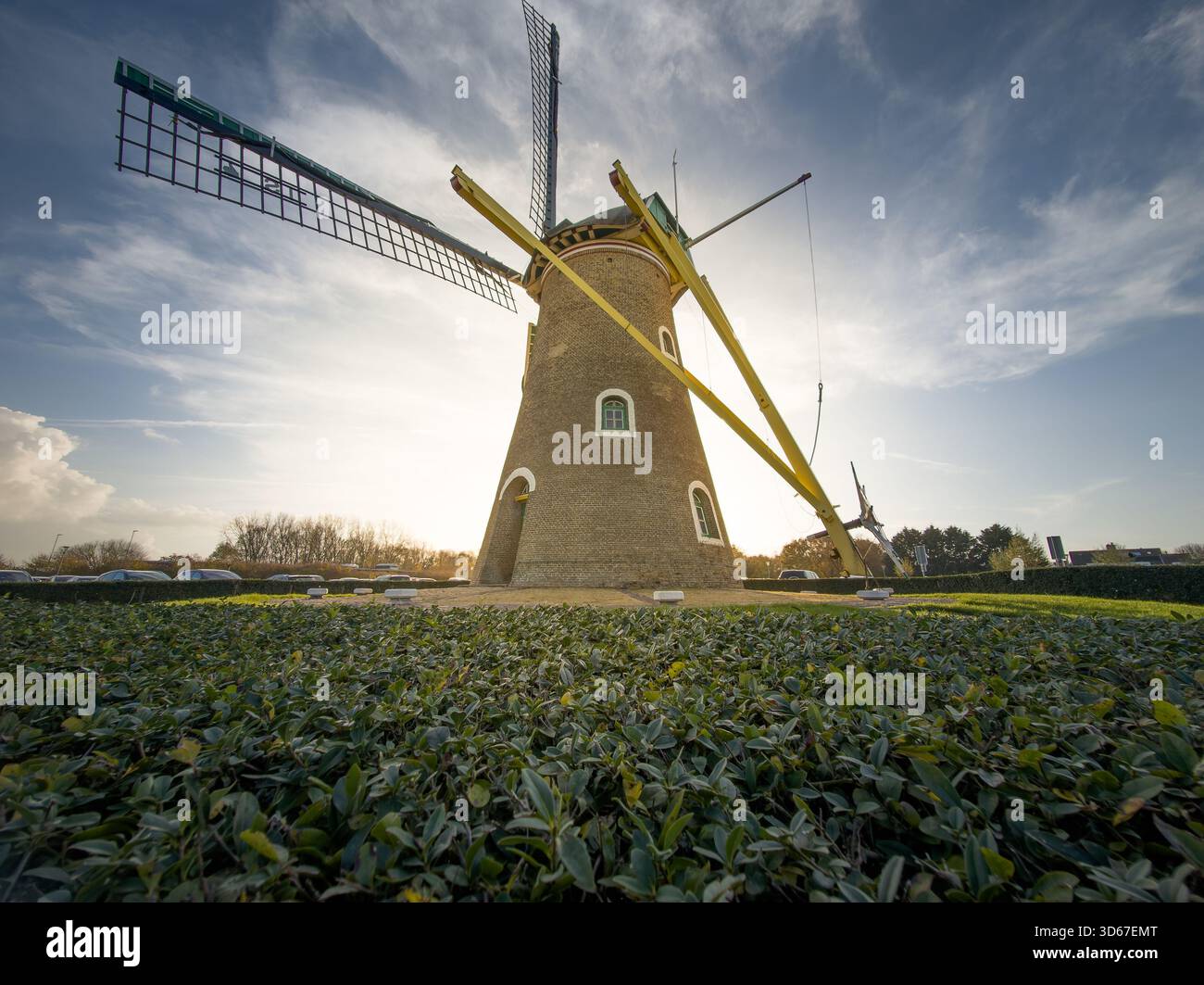 Plants base showcases hi-res stock photography and images - Alamy