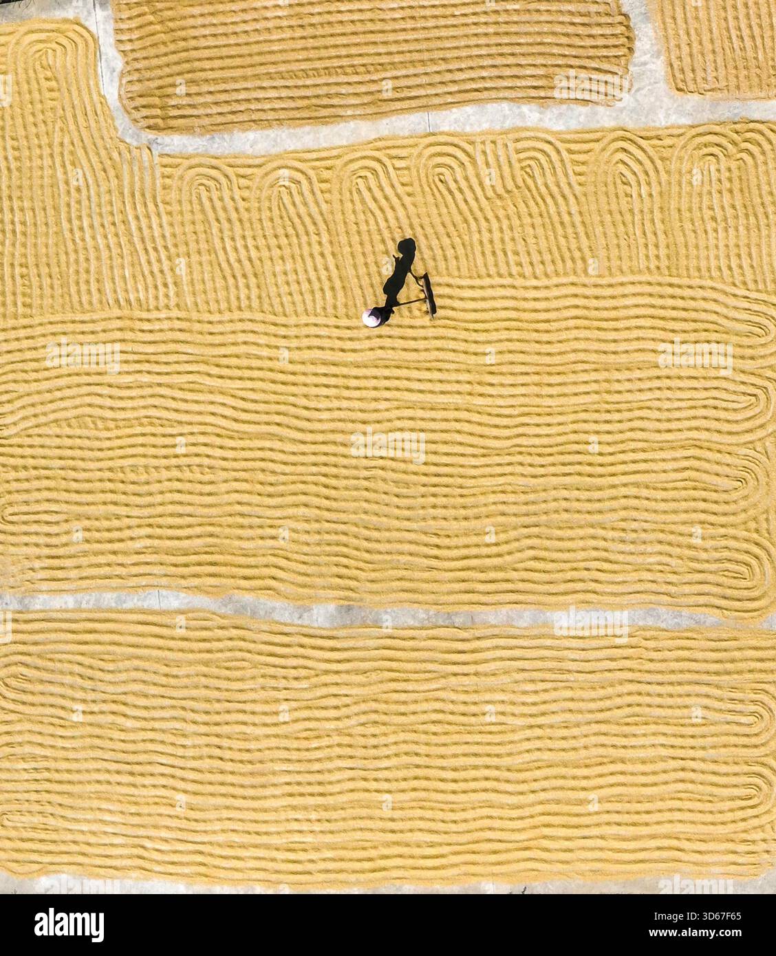 Aerial photo shows grains are dried in the sun in a village in Wuzhou ...