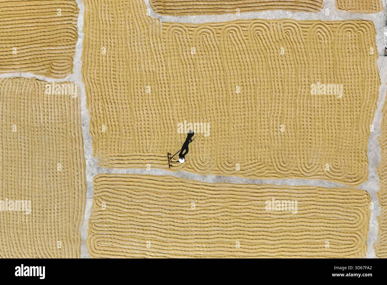 Aerial photo shows grains are dried in the sun in a village in Wuzhou ...