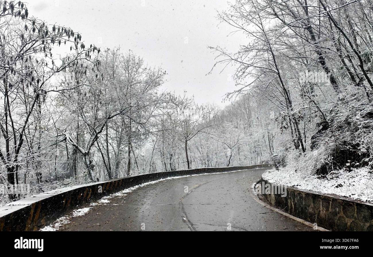 Snow scenery in Xiangyang City, central China's Hubei Province, 17 ...