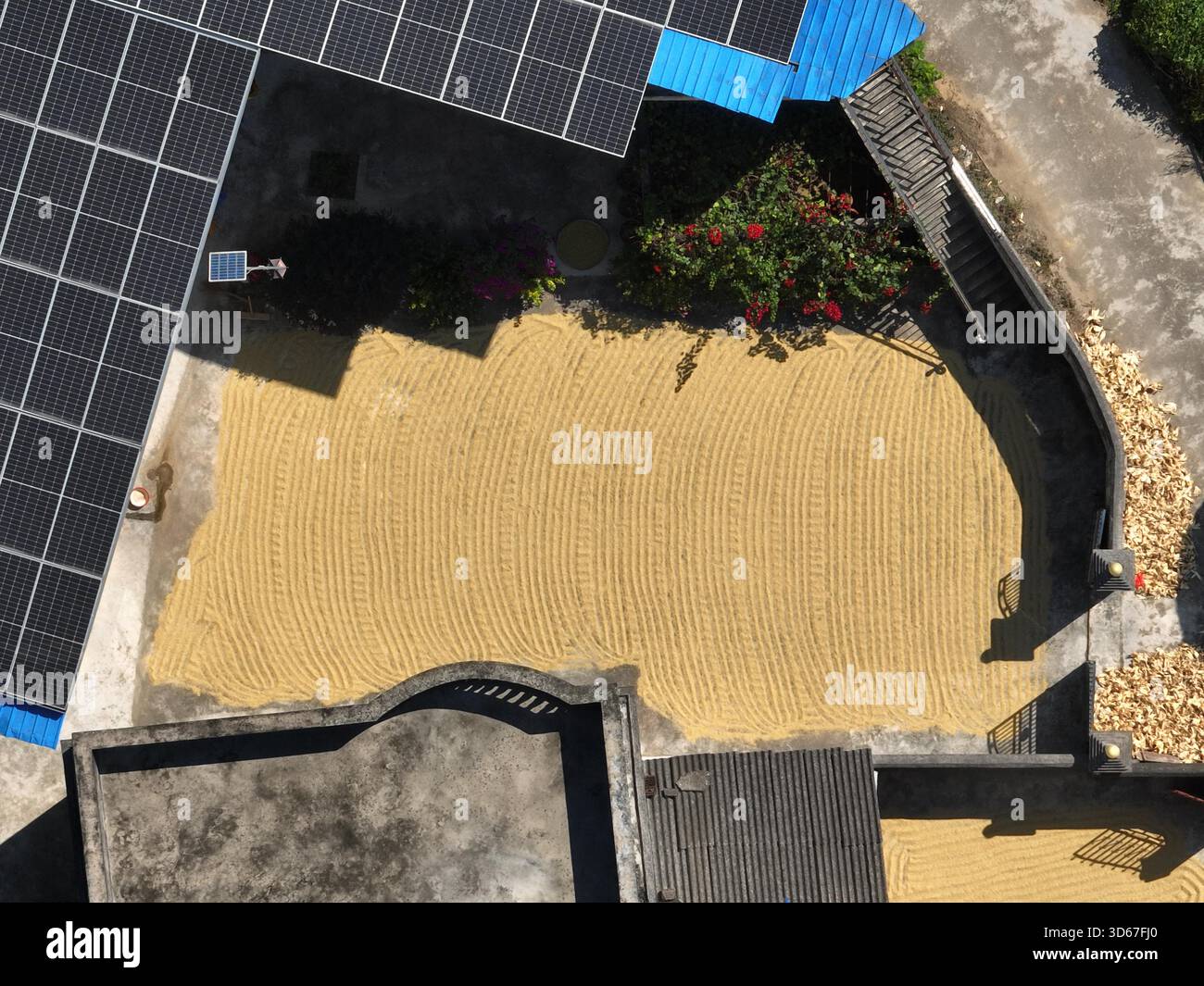 Aerial photo shows grains are dried in the sun in a village in Wuzhou ...