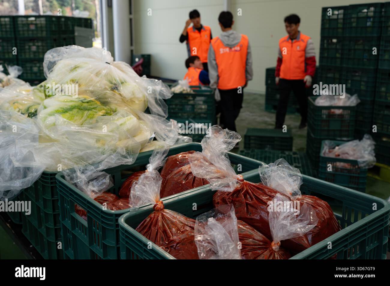 Pre-registered participants receive salted cabbage and seasoning at the ...