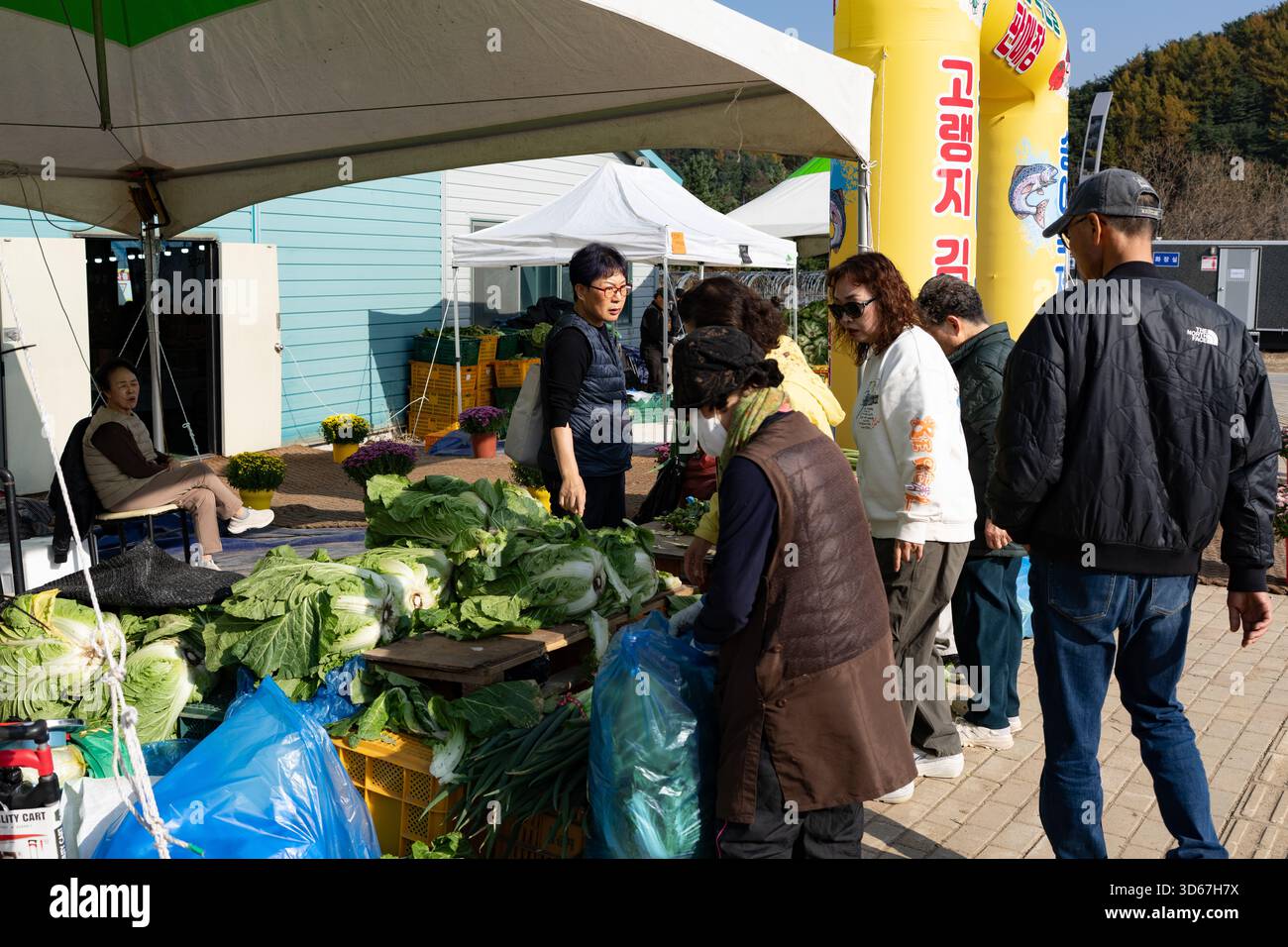 Farmers sell cabbage and other vegetables at Jinbu Civic Sports Park in ...