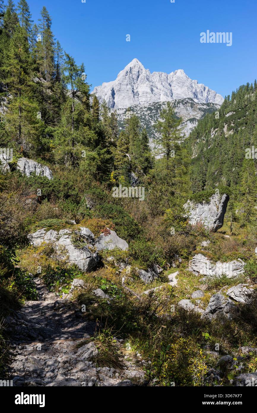 View from the hiking trail towards Kärlingerhaus and Watzmann ...