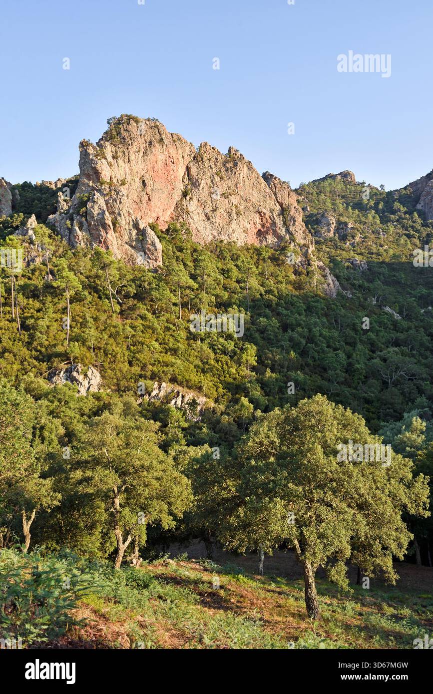 From "Vallon de Saint-Jean a view of Esterel Massif, Mediterranean ...